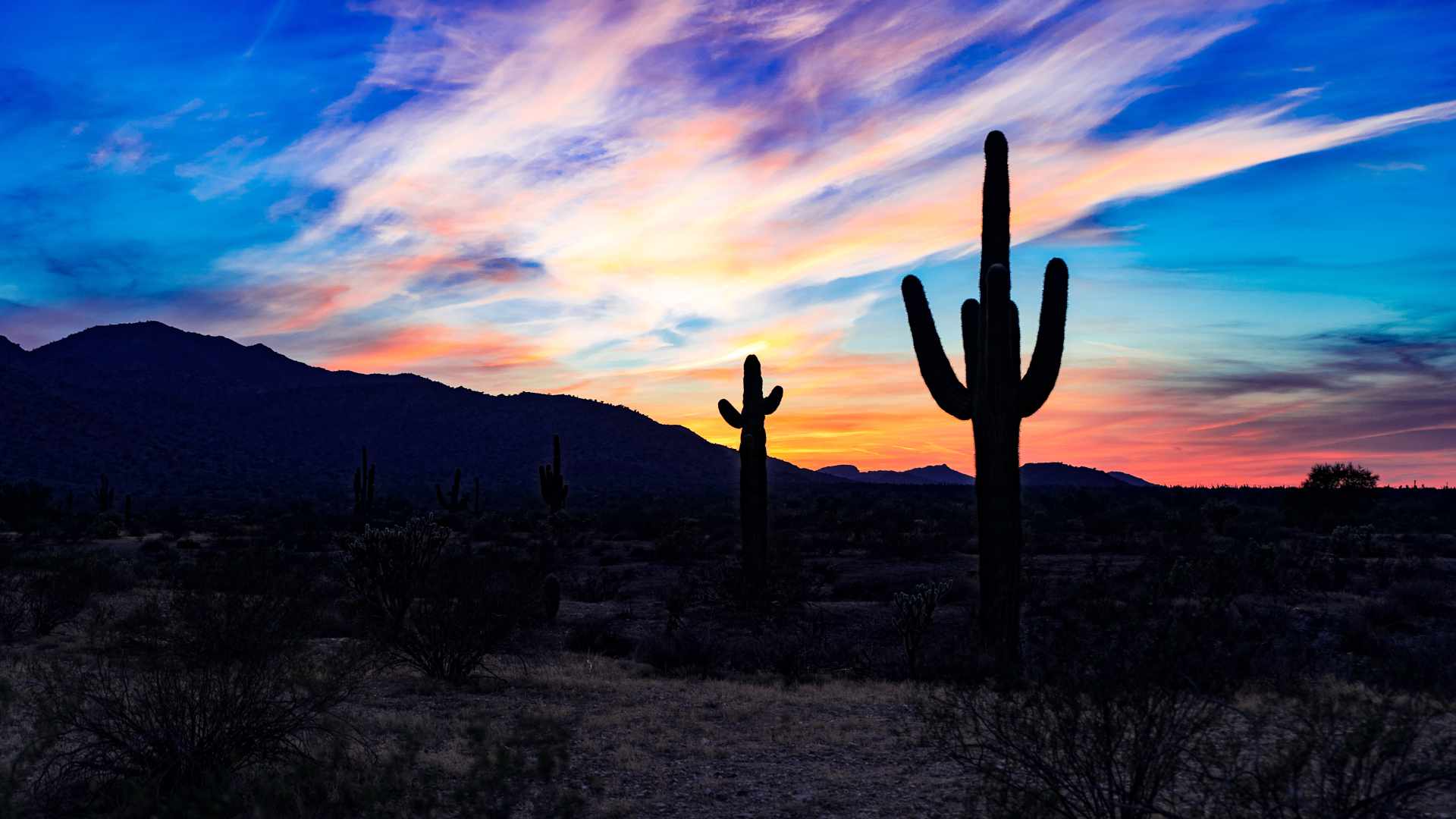 Phoenix FPC, Arizona — FPCNA